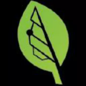 Bigleaf Networks | Updata Partners Job Board